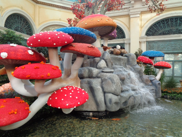 Bellagio Conservatory & Botanical Garden Fall Harvest 2020 Display ...