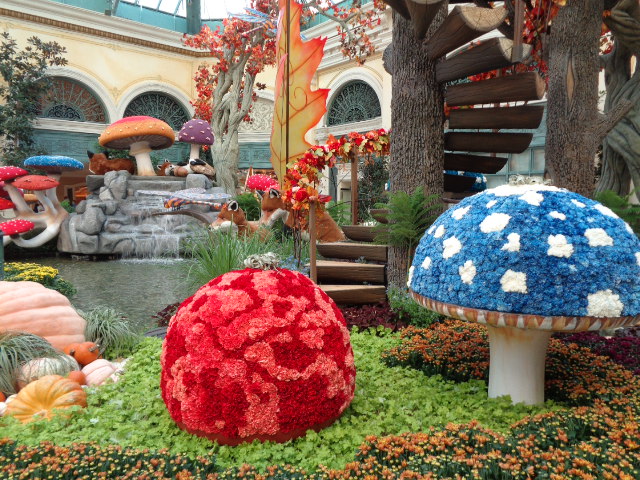 Bellagio Conservatory & Botanical Garden Fall Harvest 2020 Display ...