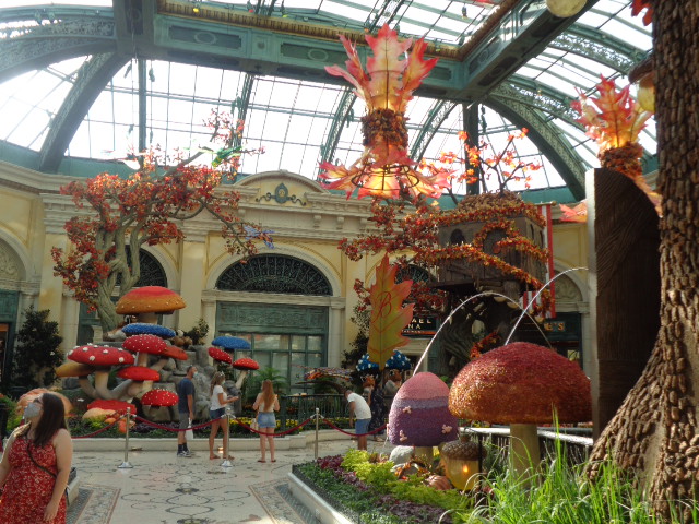 Bellagio Conservatory & Botanical Garden Fall Harvest 2020 Display ...