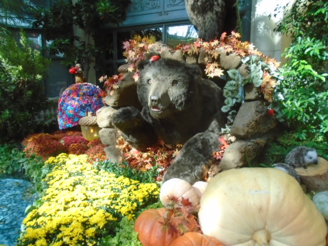 Bellagio Conservatory & Botanical Garden Fall Harvest 2021 Display ...