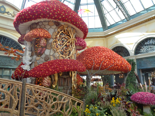 Bellagio Conservatory Autumn Harvest 2023 Display – PHOTOS - VegasChanges